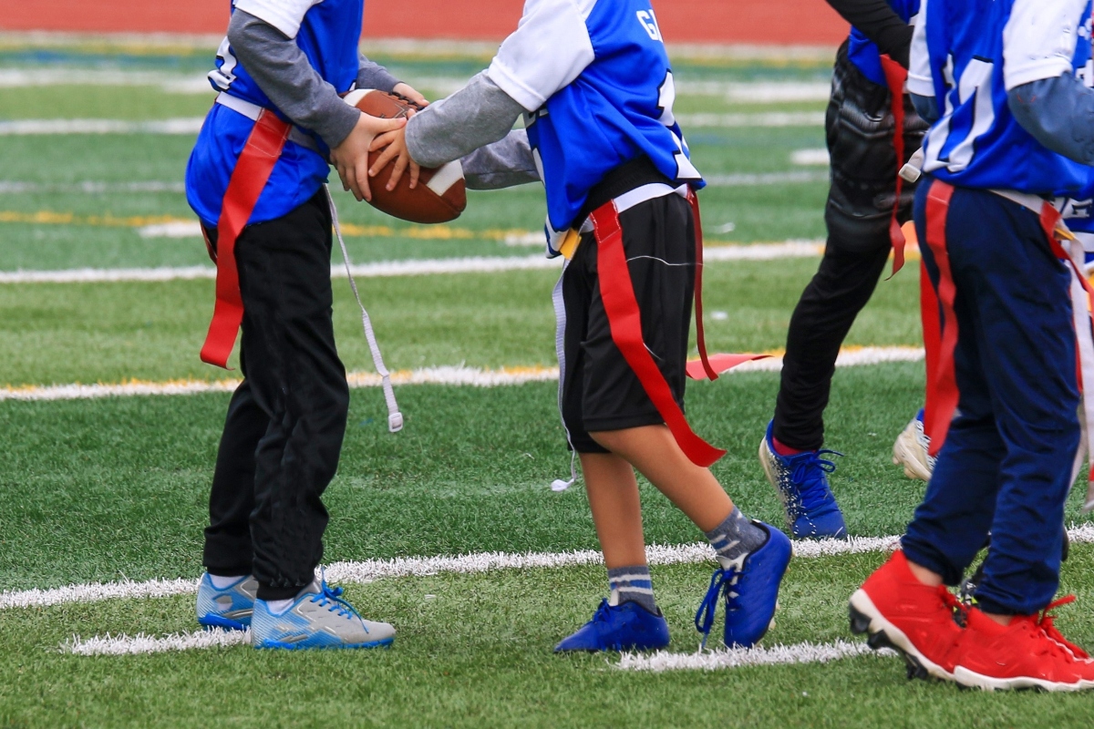 Pro Bowl NFL: 49ers, Broncos and Ravens dominate